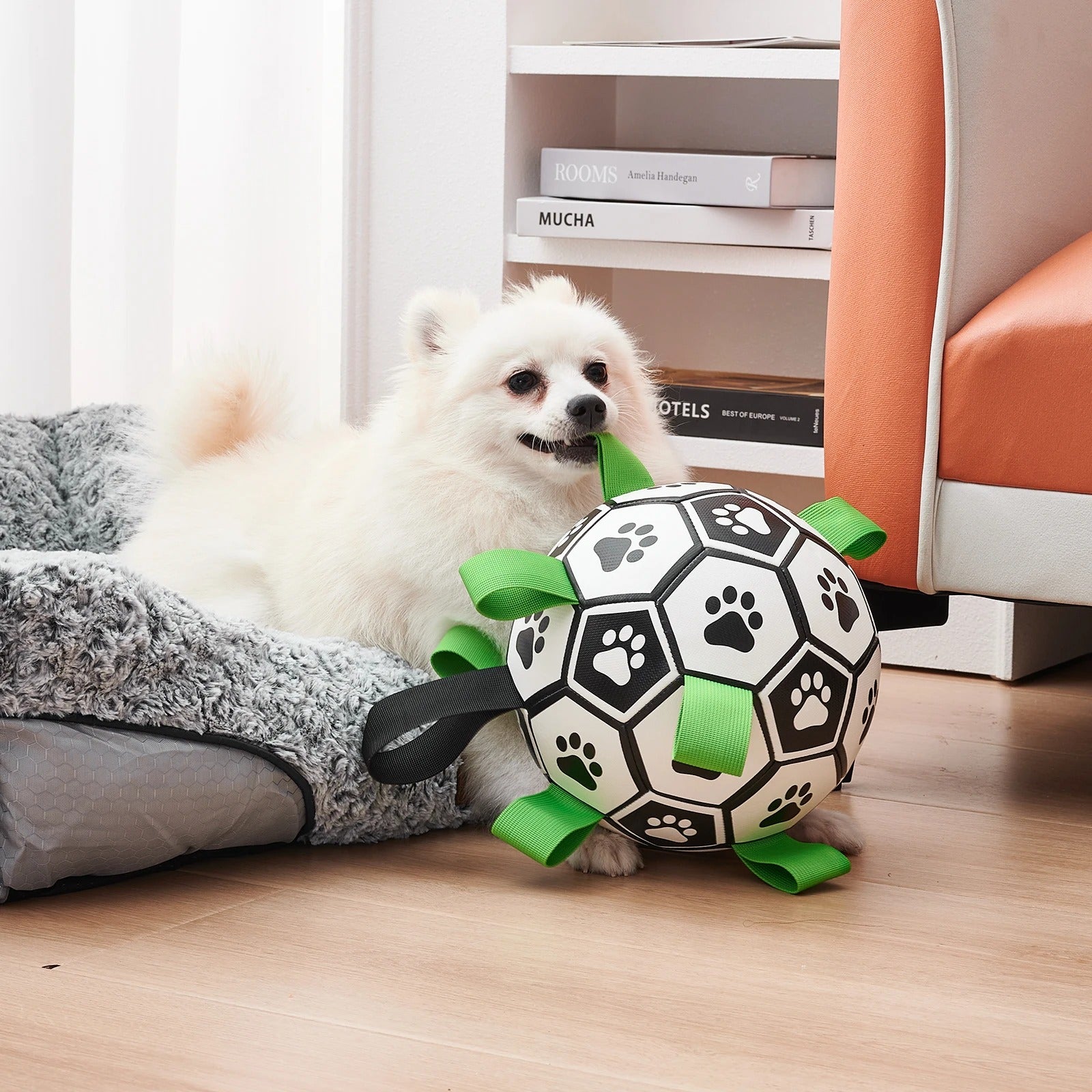 Chewie: make your doggy happy!